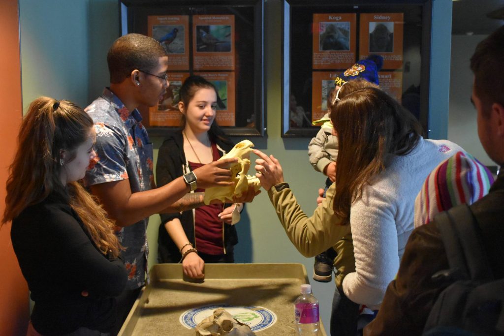 Giving the Opportunity to Pursue a Career in Life Sciences - Buffalo Zoo