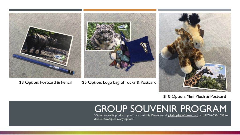 Buffalo Zoo Visitor Info | Buffalo NY