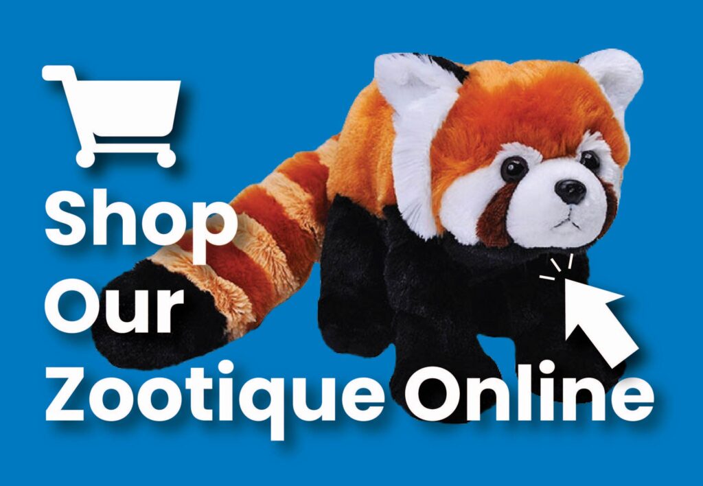 Shop Buffalo Zoo - Buffalo Zoo