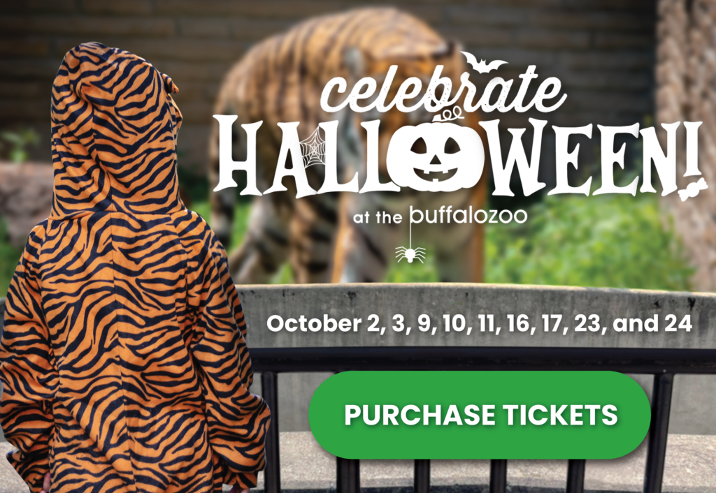 The Buffalo Zoo - Buffalo NY