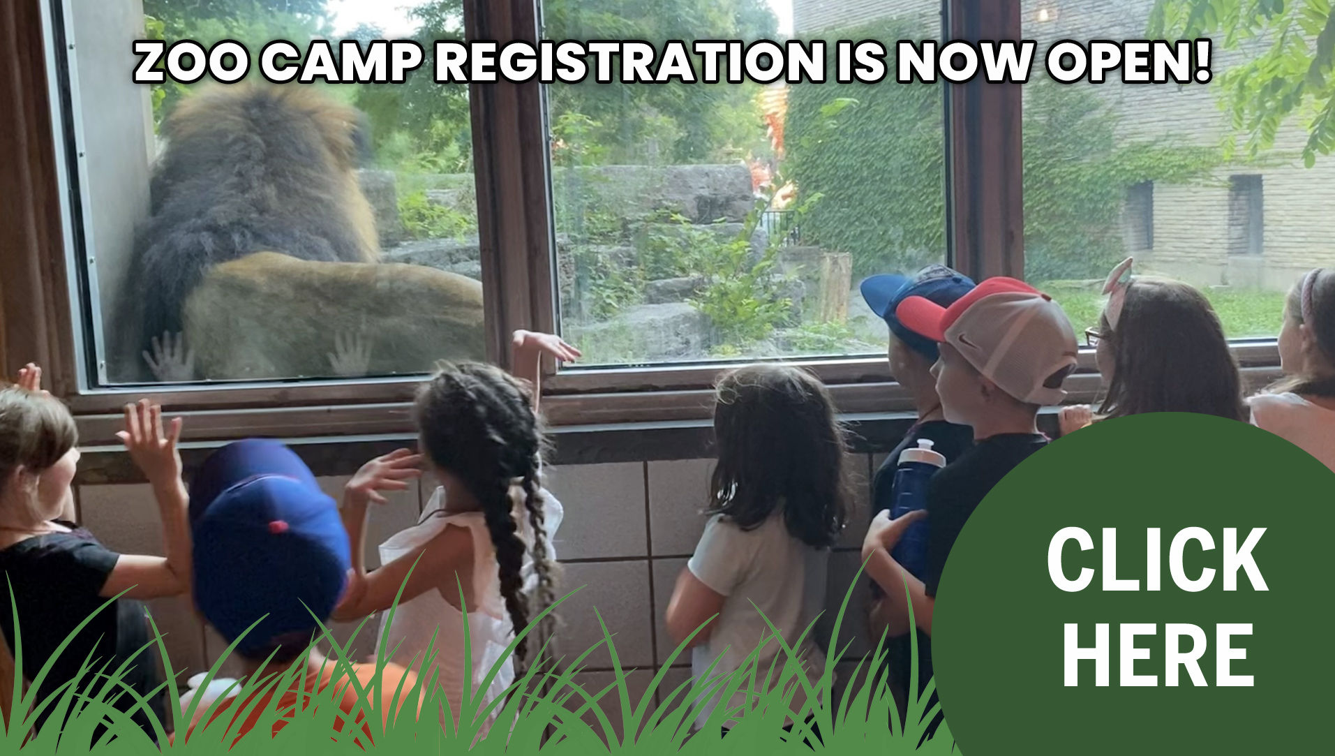 The Buffalo Zoo | Animal Experiences & Event Spaces | Buffalo, NY