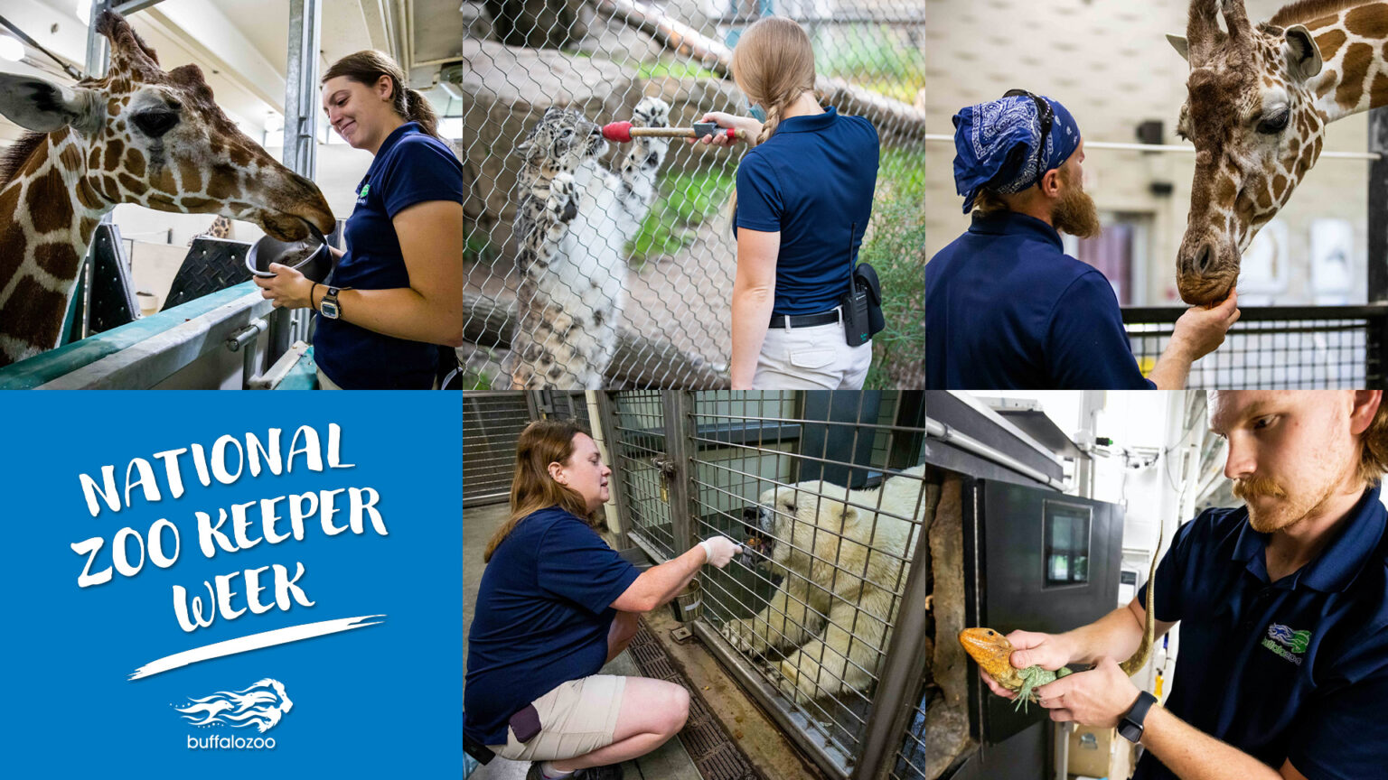National Zoo Keeper Week 2023 - Buffalo Zoo