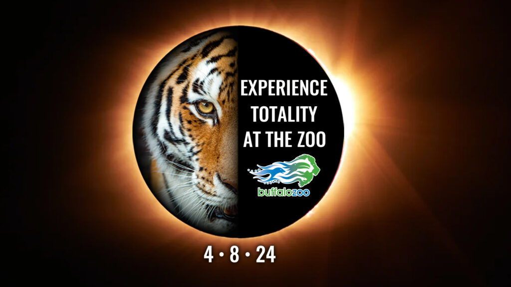 Events for February 28, 2023 – Buffalo Zoo