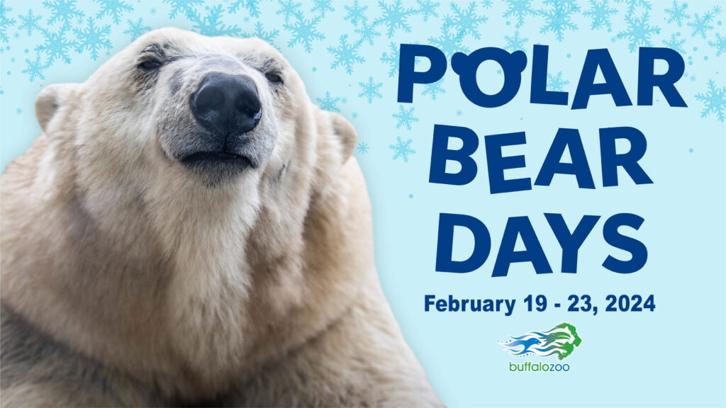 Events from February 20 – October 11, 2020 – Buffalo Zoo