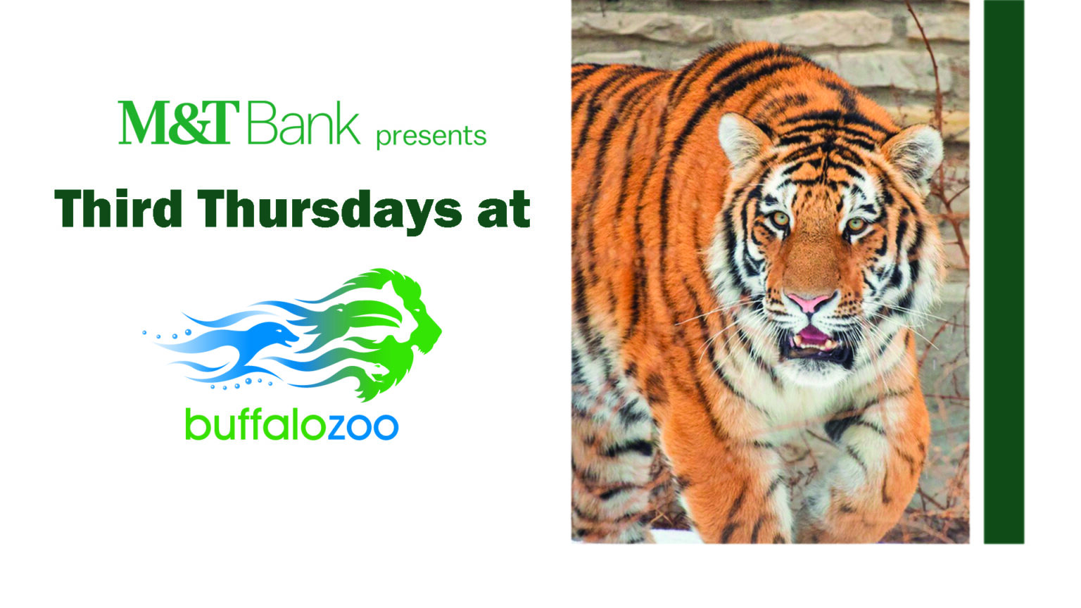 M&T Bank presents Third Thursdays at the Buffalo Zoo - Buffalo Zoo
